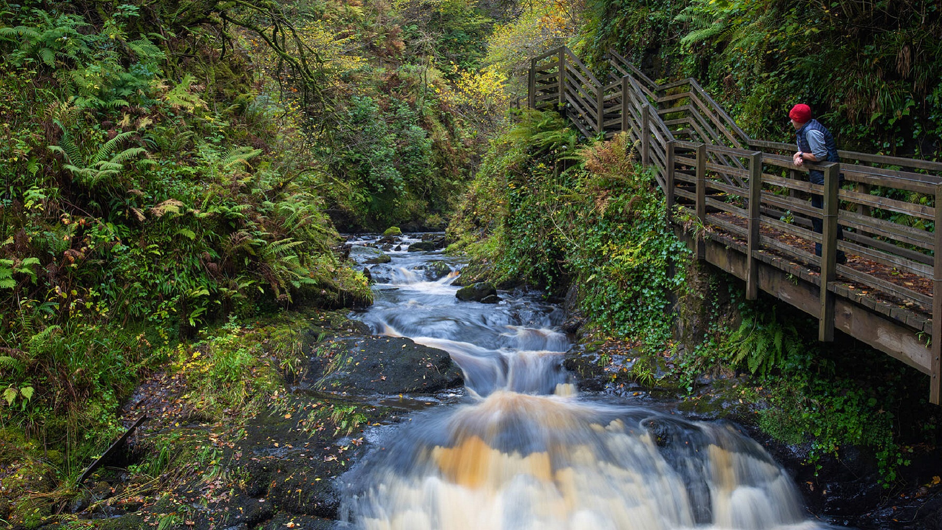 Perfect Picnic locations in the Causeway Coast & Glens - Causeway Coast ...